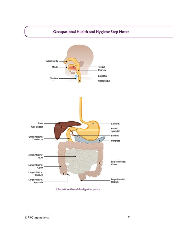 ProQual Level 6 NVQ Diploma